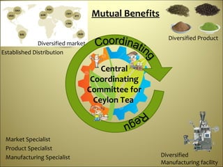 Ceylon tea | PPT