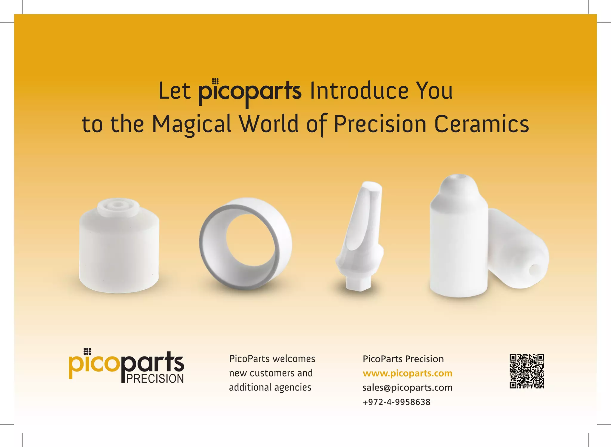 PicoParts Banner | PPT