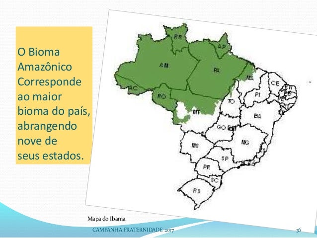 Cf 2017 bioma amazonico