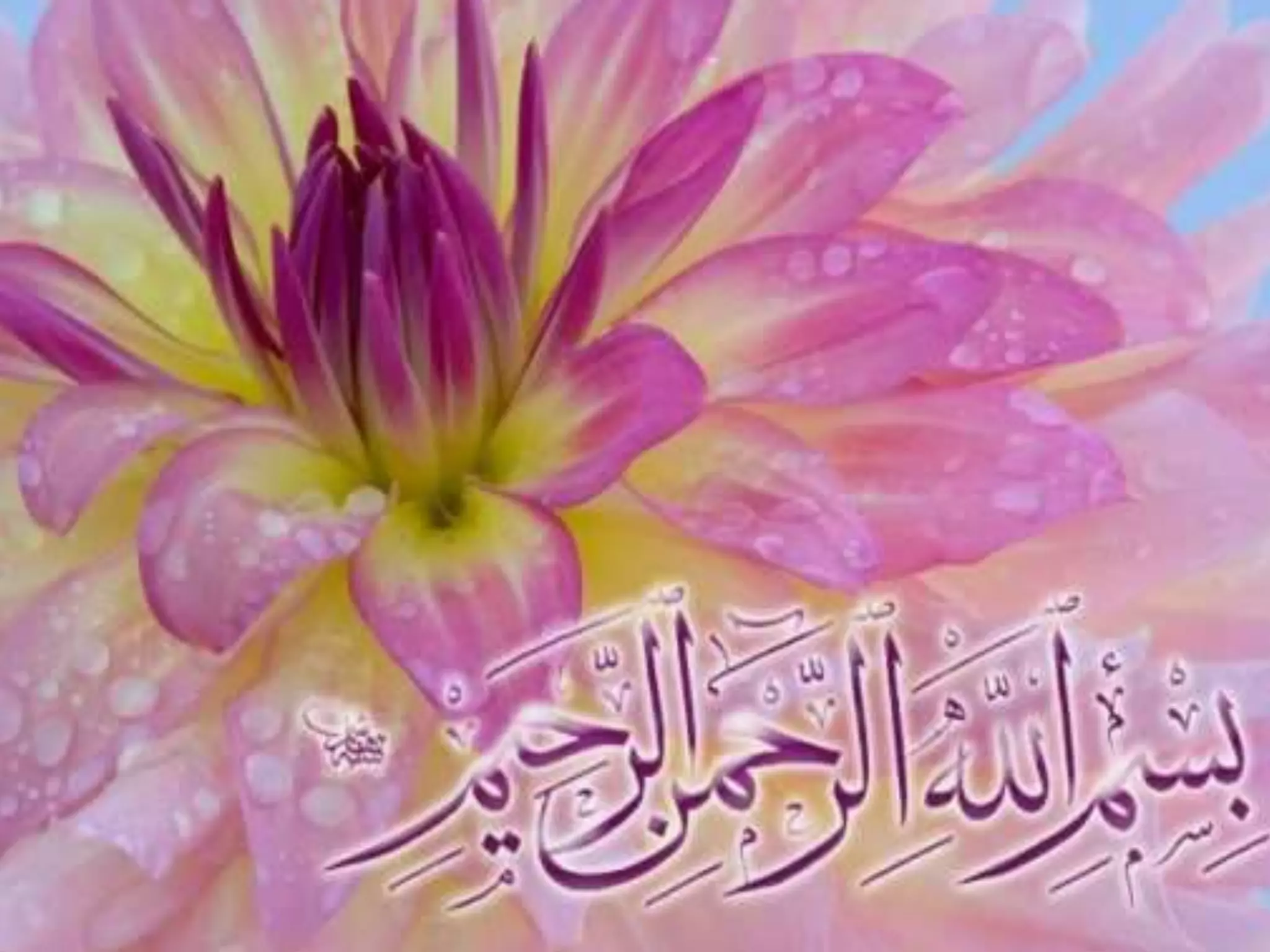 Definition Of Curriculum (8603) | PPT