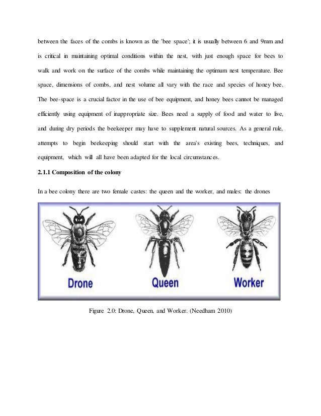 Project on Apiculture
