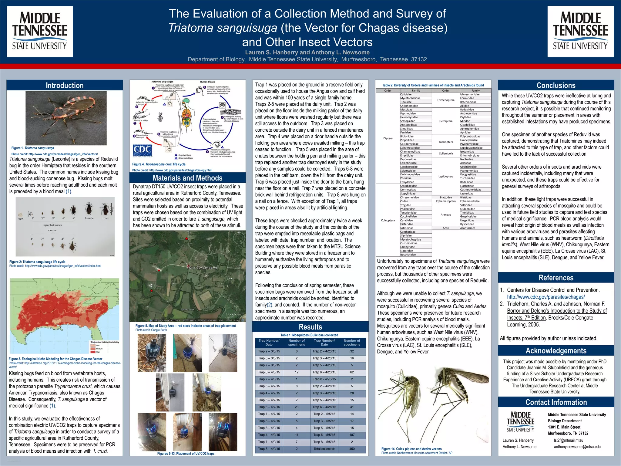 T. sanguisuga Chagas poster | PPTX