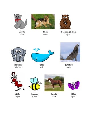 Animals - Swedish | PDF