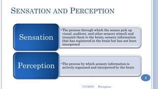 Perception | PDF