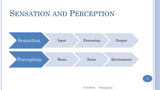 Perception | PDF