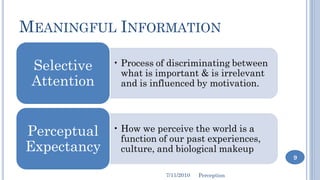 Perception | PDF