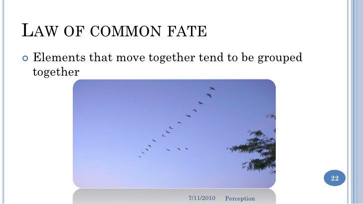 Considering the Gestalt Principles in Graphic Information Design ...