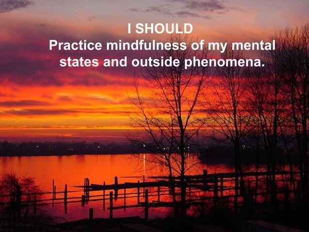 14 Steps To Develop Patience | PPT | Parenting | Family and Relationships