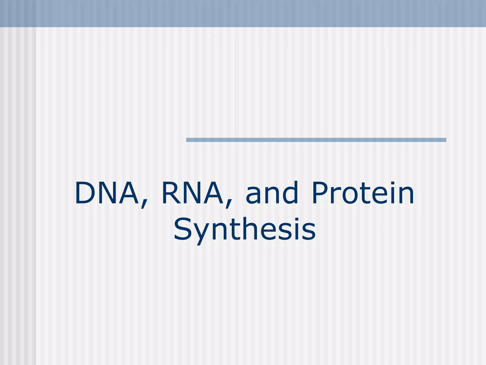 5 DNA RNA Protein Synthesis | PPT