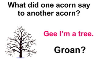 History of Early Geometry | PPT