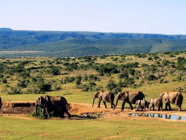 C:\Fake Path\Afrika Sunrise | PPS