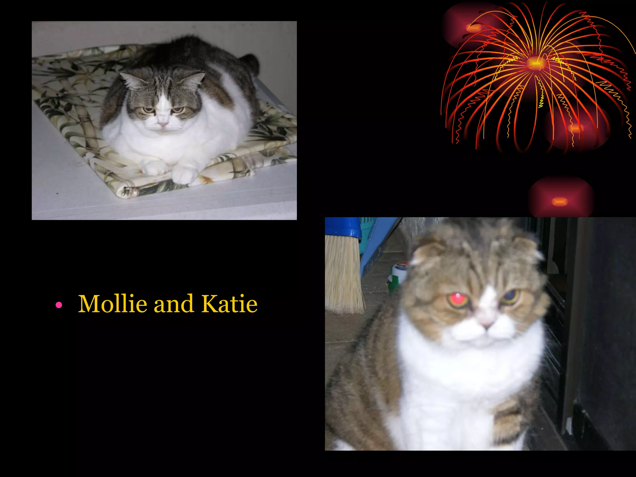 09-15-09 Miles Freeman's All About Me PowerPoint | PPT