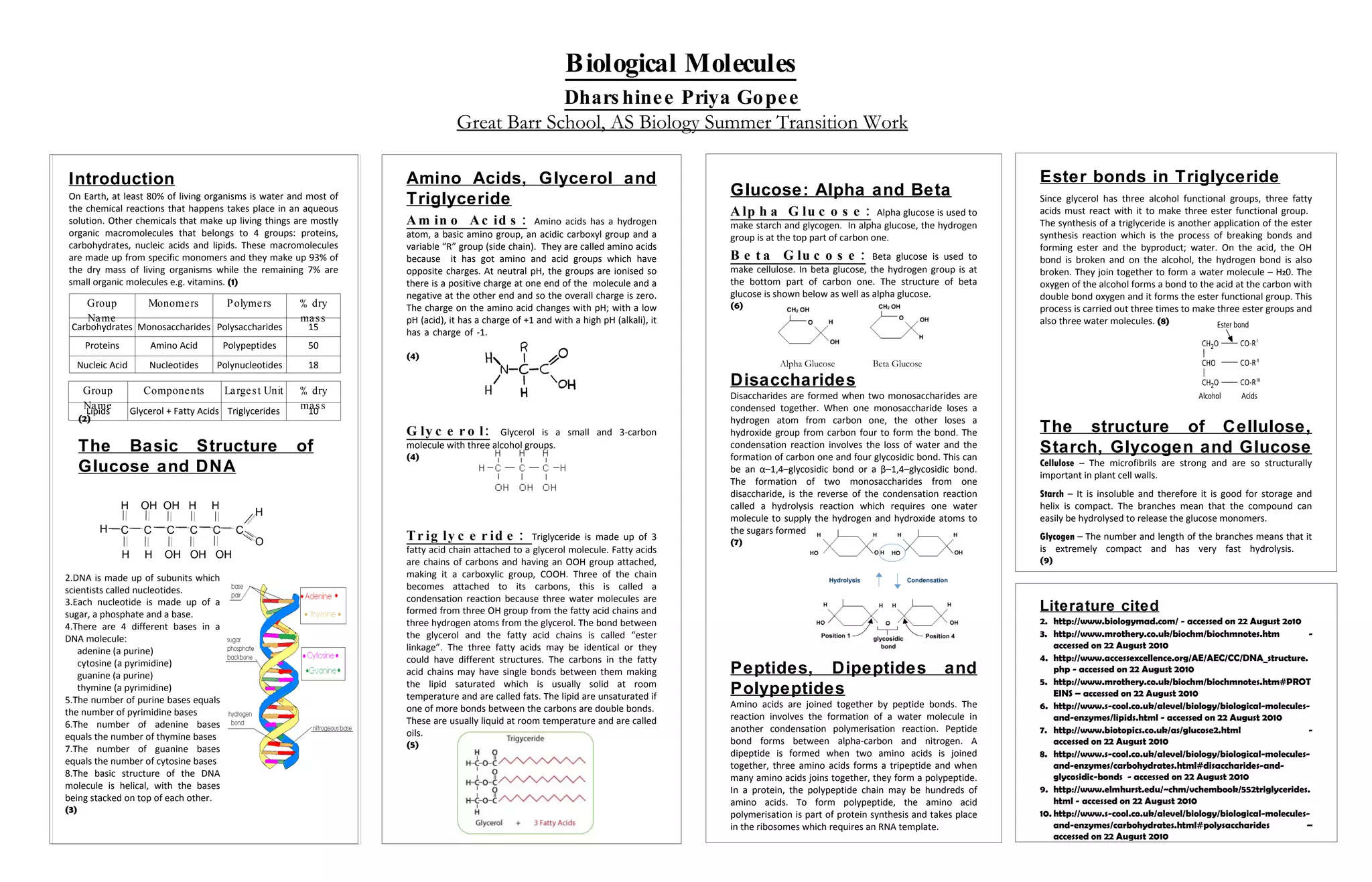 Biological Molecules | PPT