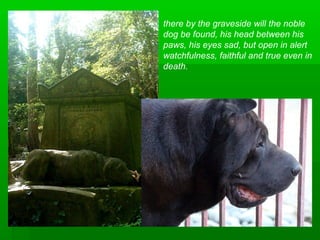 A tribute to the dog | PPT