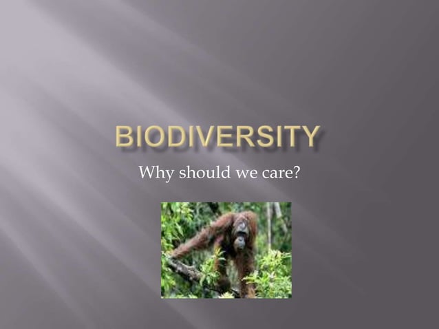 Biodiversity | PPT