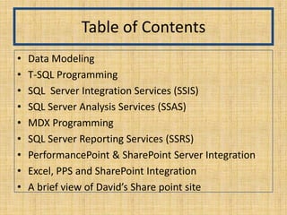 Business Intelligence Portifolio | PPT