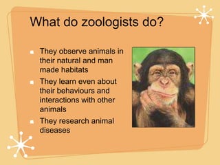 Careers Presentation | PPTX