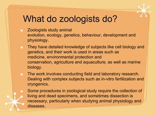 Careers Presentation | PPTX