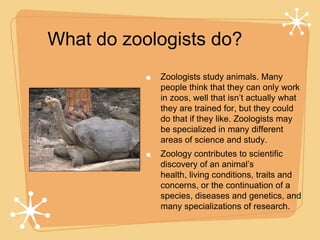 Careers Presentation | PPTX