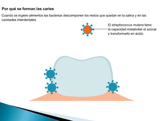 C:\fakepath\caries | PPT