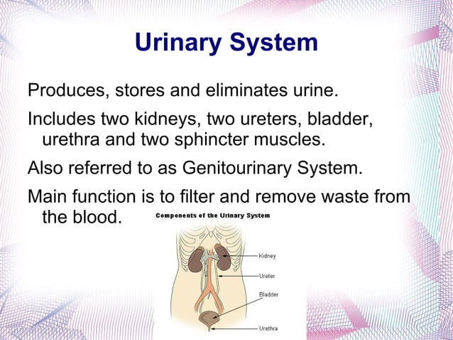 Chapter 9 Presentation | PPT