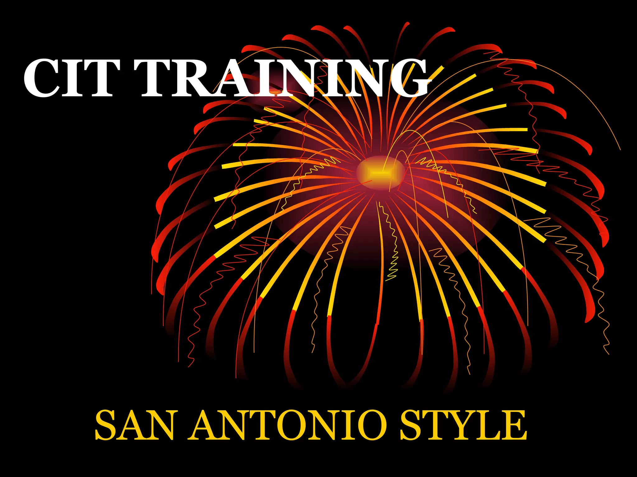 CIT Training Style San Antonio | PPT