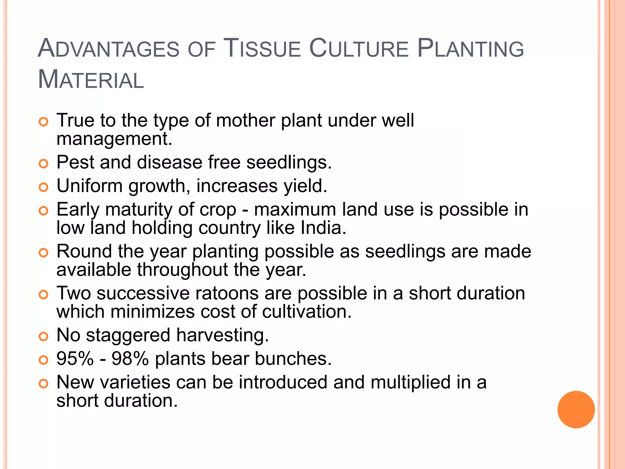 Plant tissue culture techniques of Banana | PPTX