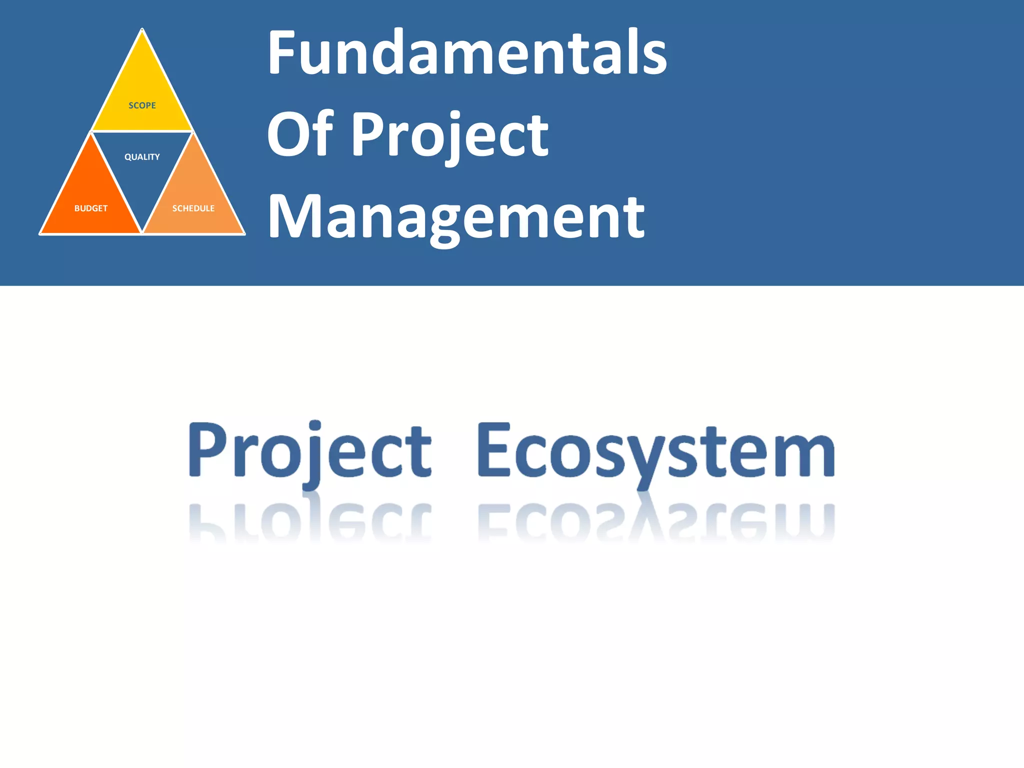 Fundamentals of Project Management | PPT