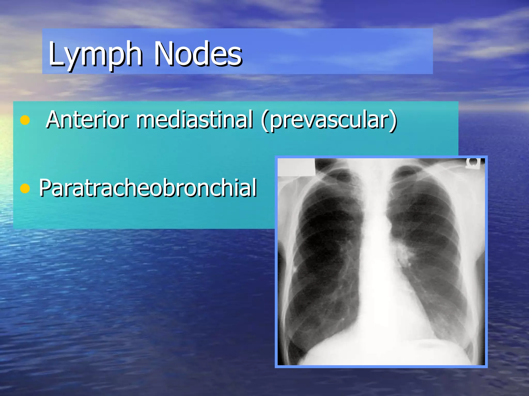 BASIC RADIOLOGY | PPT