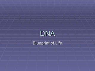 DNA | PPT