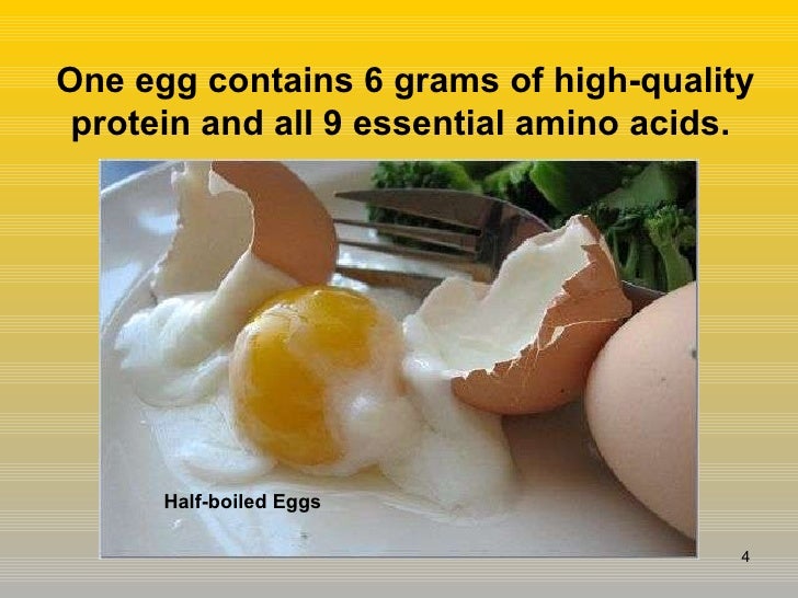 Egg Wonders10 Health Benefits Of Eggs