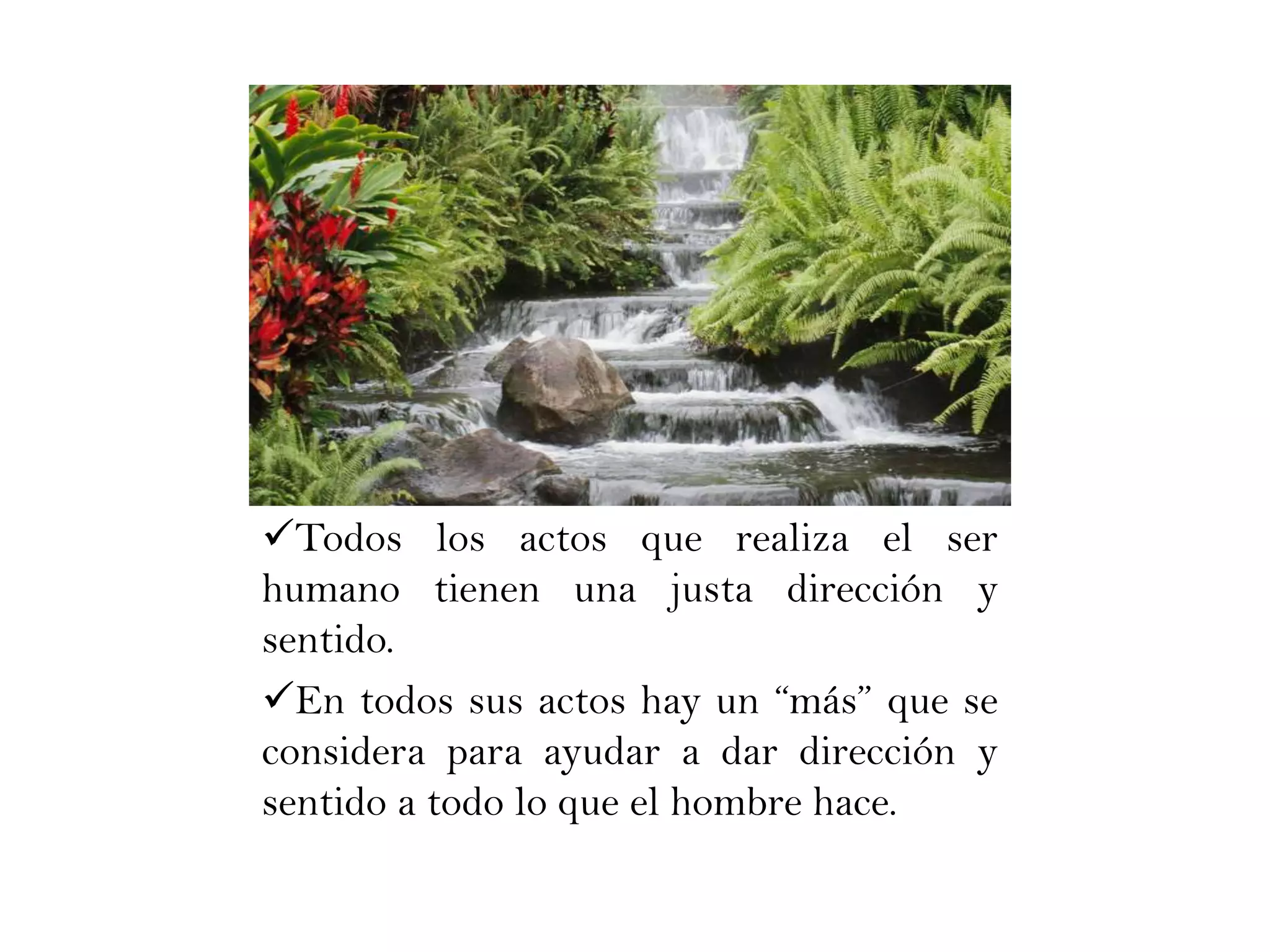 ESTRUCTURA DEL SER HUMANO | PPT