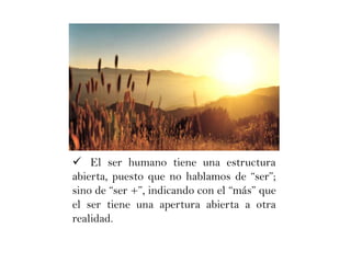 ESTRUCTURA DEL SER HUMANO | PPTX