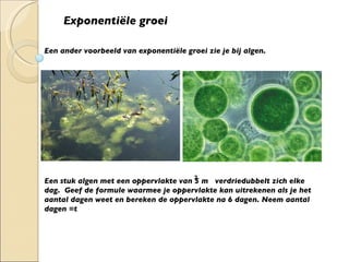 exponentiële groei en formules | PPT