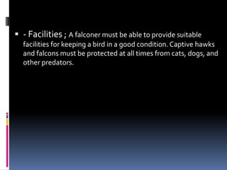 Falconry | PPTX