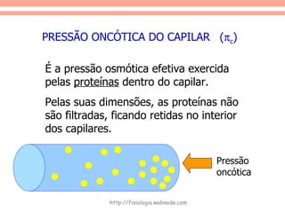 Fisiologia da Microcirculação | PPT