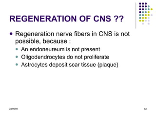 histologic structure of nervous system | PPT