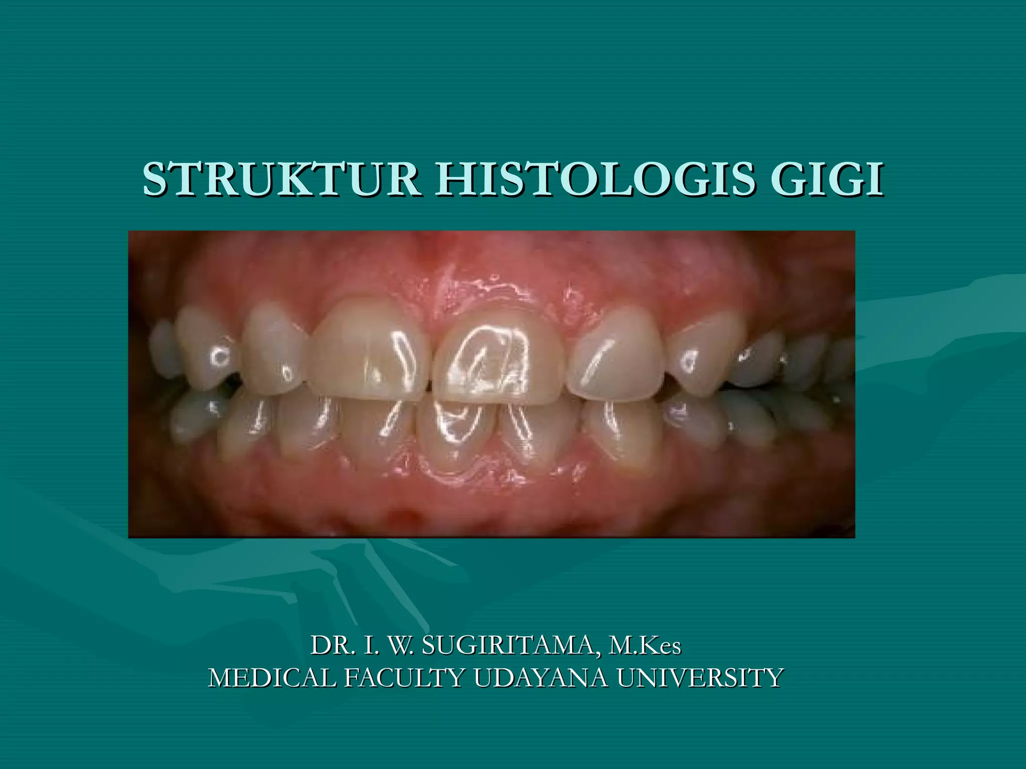 struktur histologis gigi | PPT