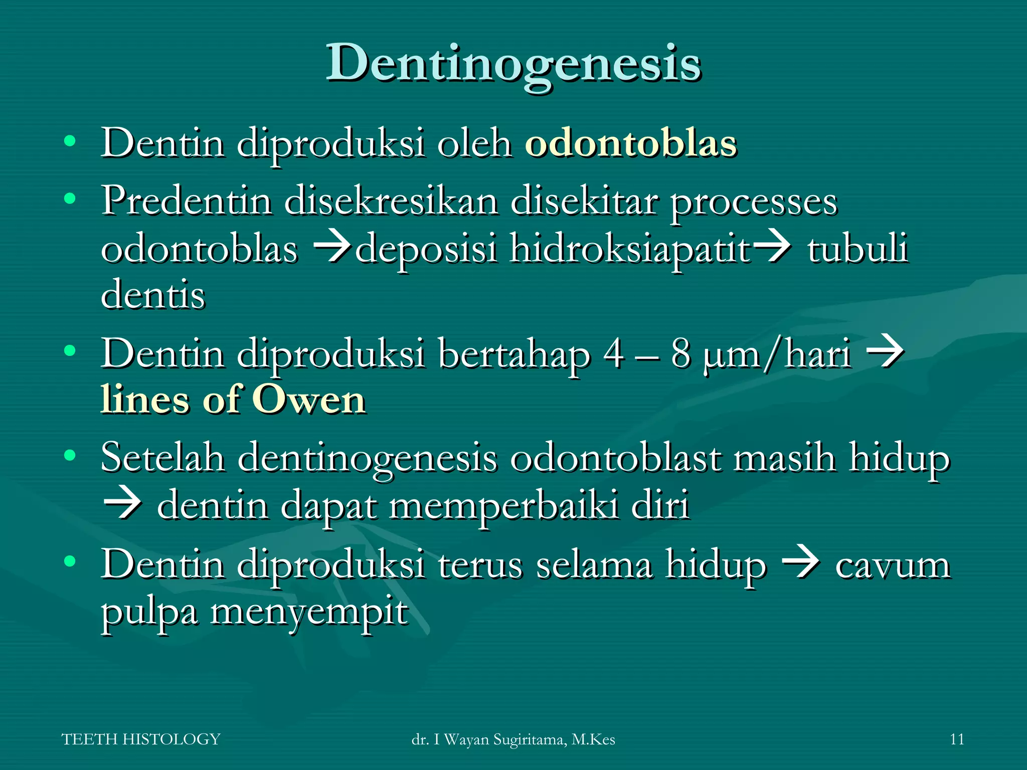 struktur histologis gigi | PPT