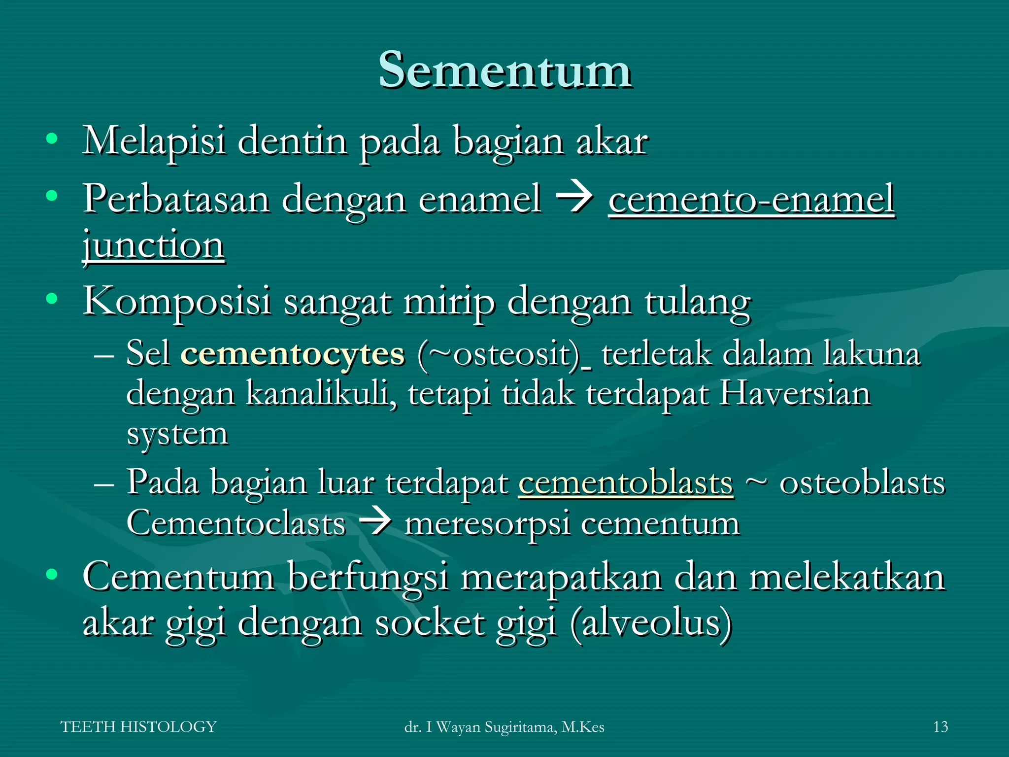 struktur histologis gigi | PPT