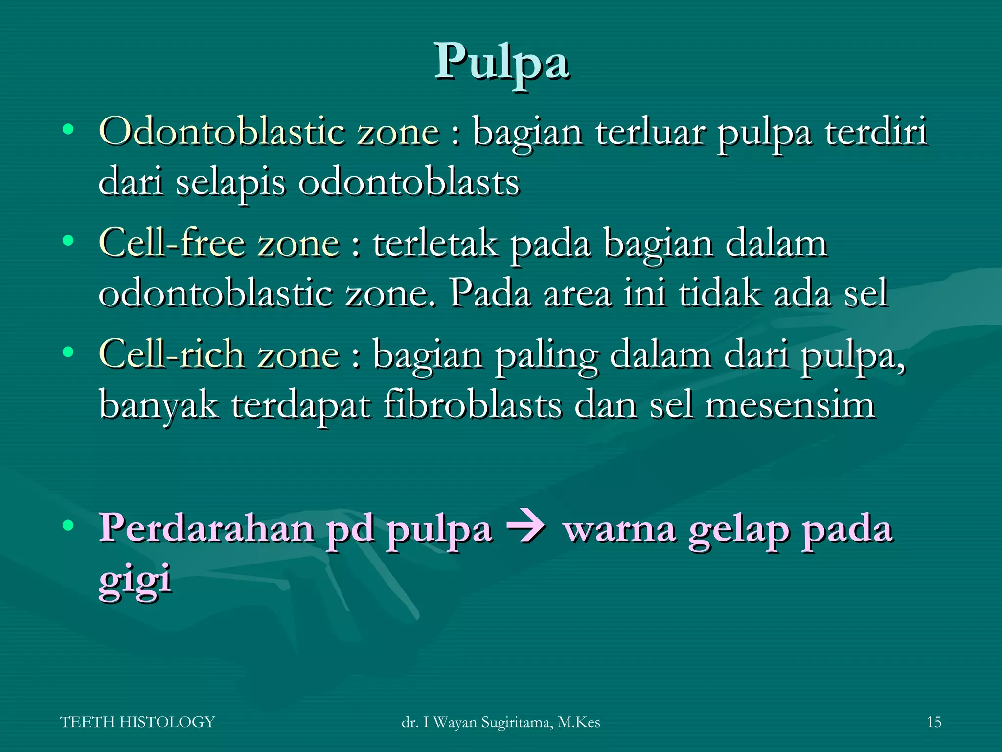 struktur histologis gigi | PPT