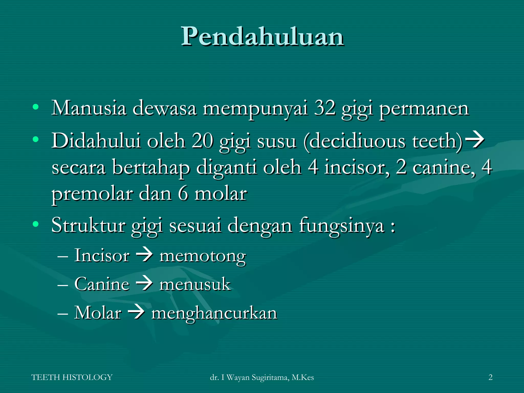 struktur histologis gigi | PPT
