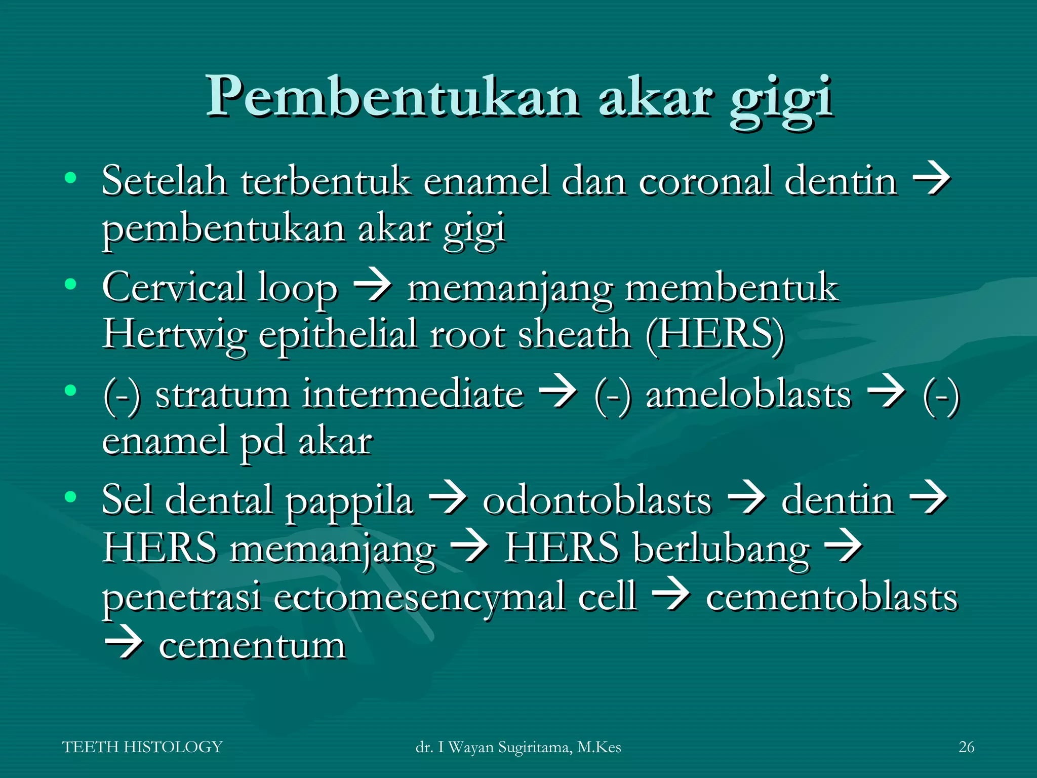 struktur histologis gigi | PPT