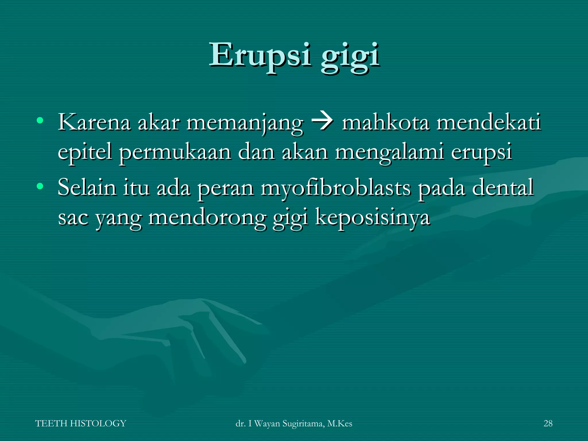 struktur histologis gigi | PPT