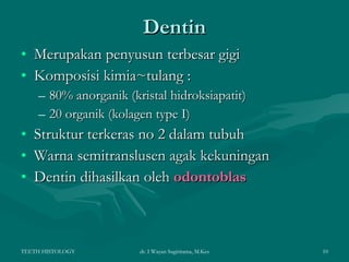 struktur histologis gigi | PPT
