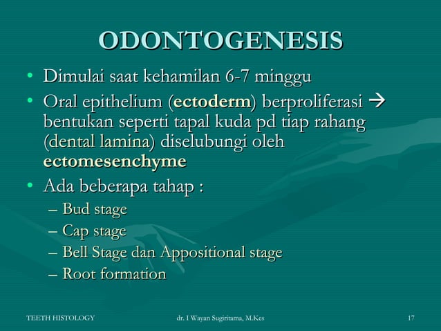 struktur histologis gigi | PPT