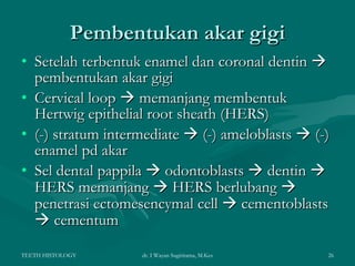struktur histologis gigi | PPT