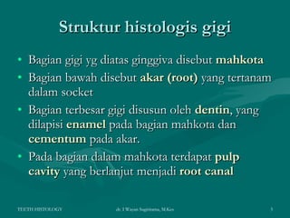 struktur histologis gigi | PPT