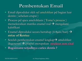 struktur histologis gigi | PPT