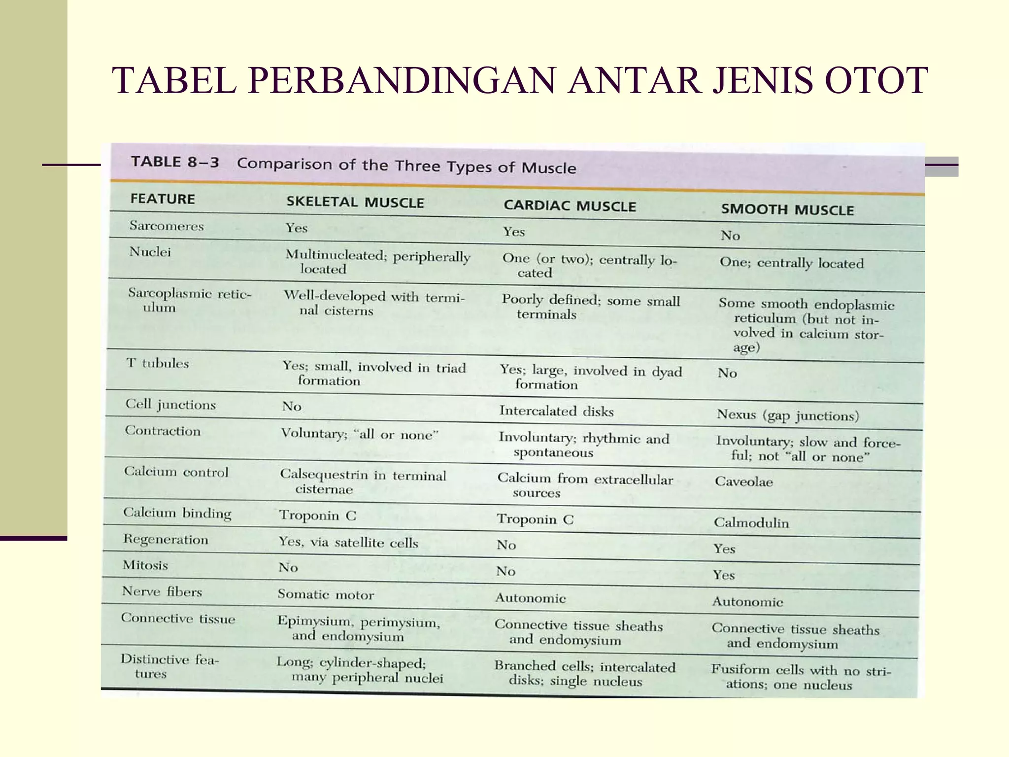 struktur histologis otot | PDF